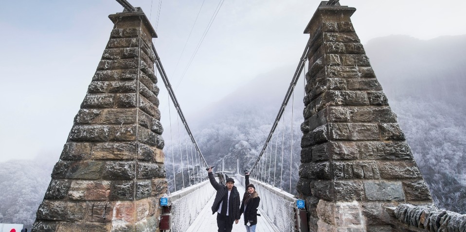 Queenstown.com | Best of Queenstown Sightseeing Tour -Altitude Tours